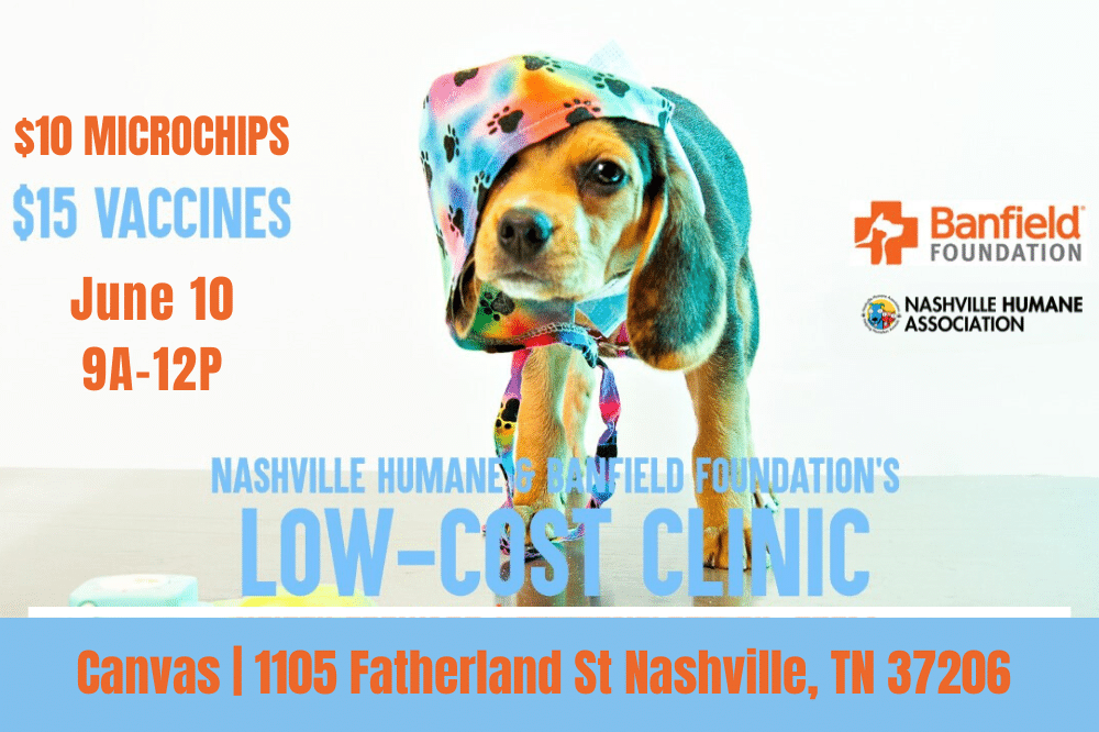 June Low-Cost Vaccine & Microchip Clinic - Nashville Humane Association