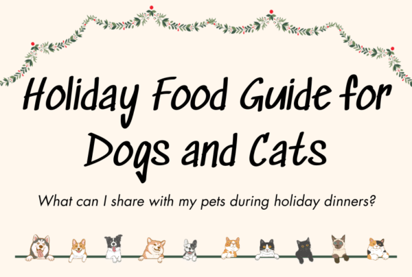 Home - Nashville Humane Association