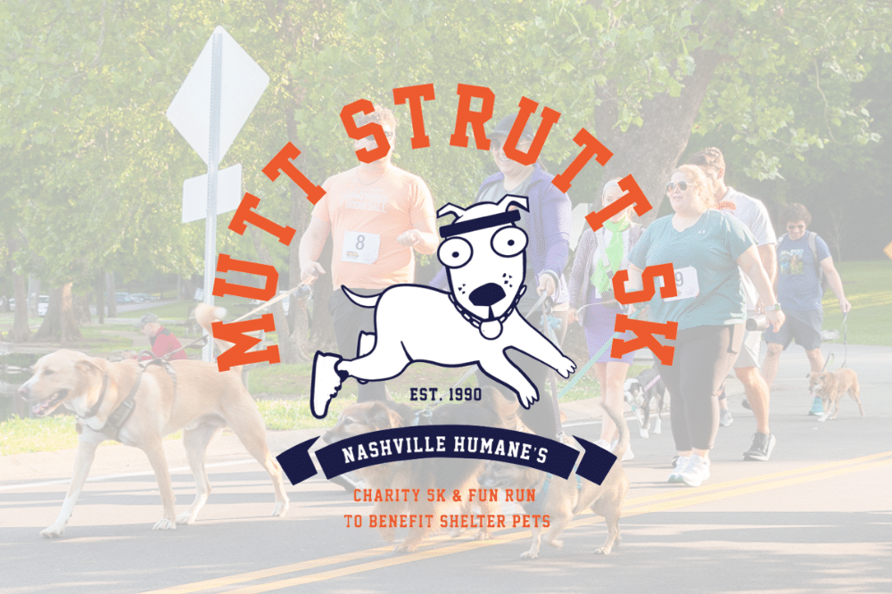 Mutt Strutt 5K - Nashville Humane Association