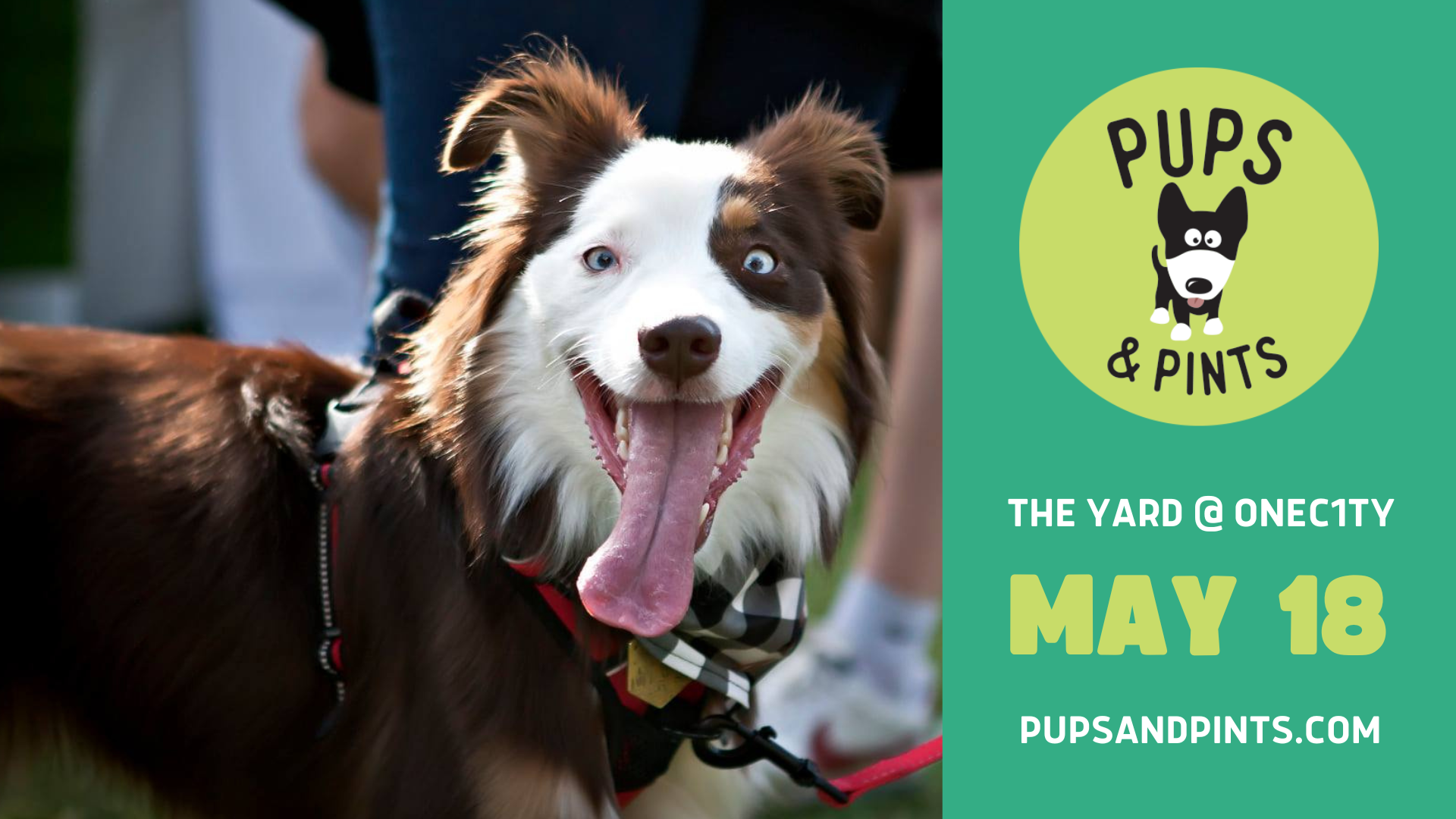 Pups and Pints Archives - Nashville Humane Association