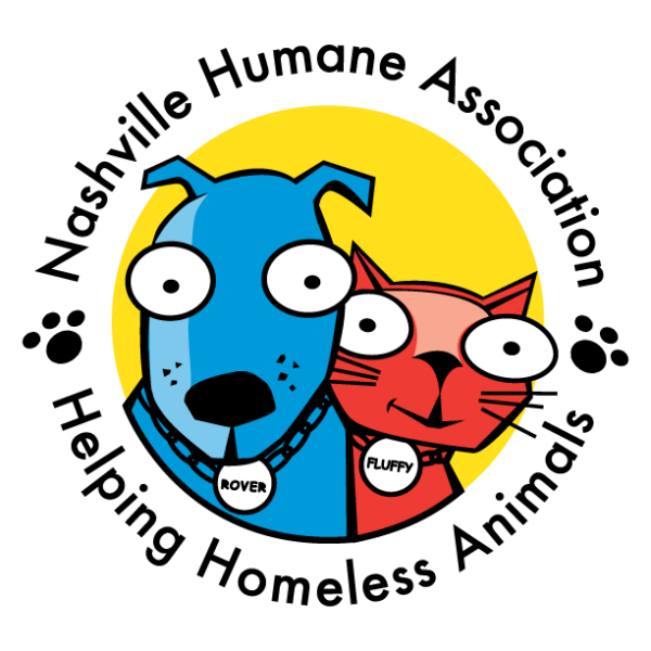 Foxhound, American Archives - Nashville Humane Association