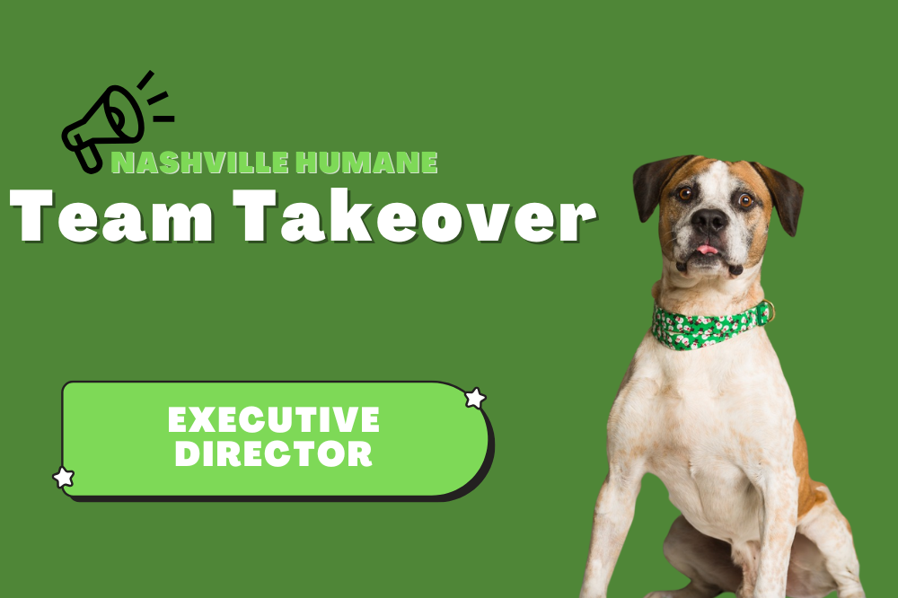 Team Takeover - Executive Director - Nashville Humane Association
