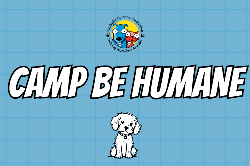 Camp Be Humane 2025 - Nashville Humane Association
