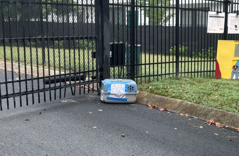 Animal Abandonment Law Change - Nashville Humane Association